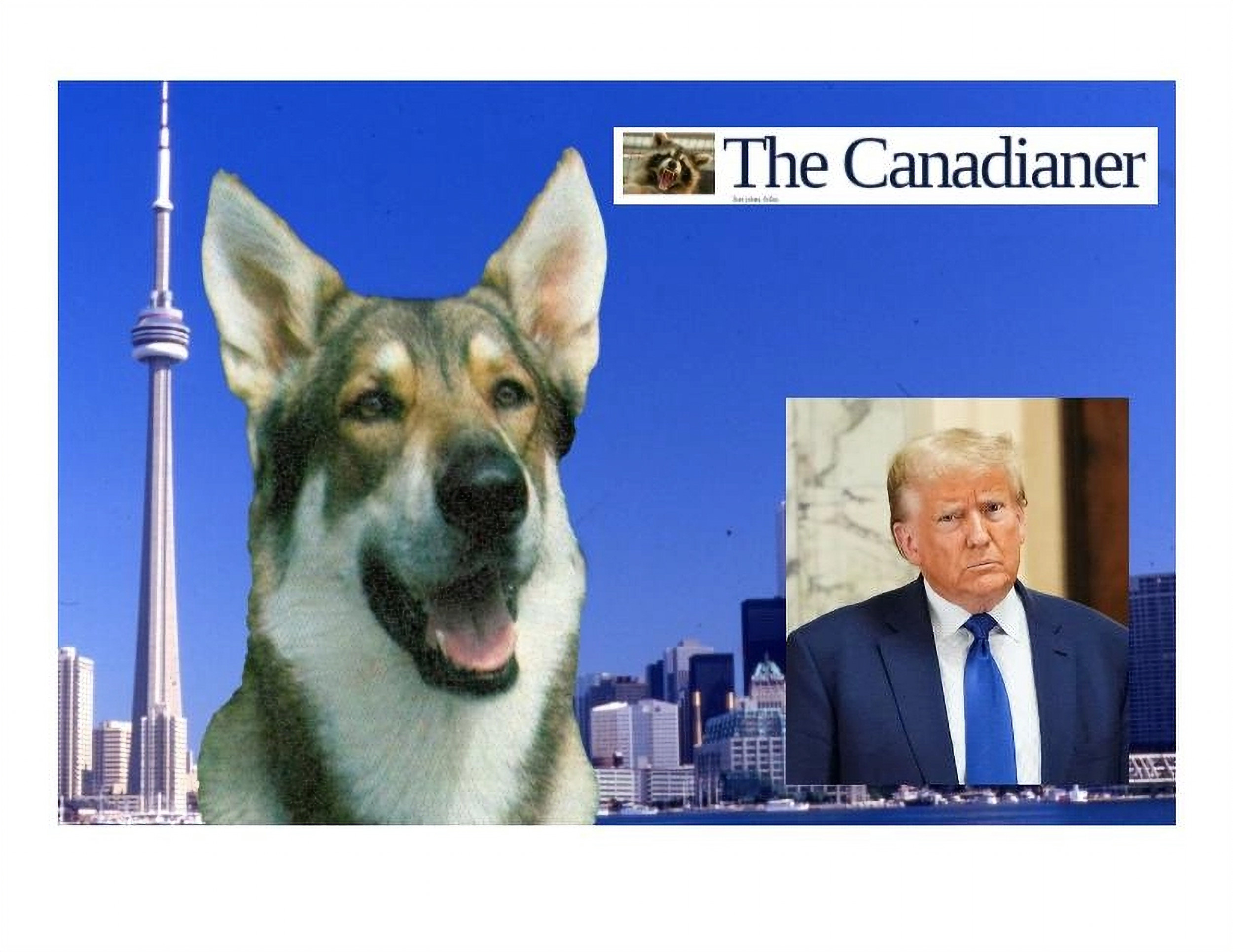 Canada dispatches 'Littlest Hobo' to bite Trump in the nuts.