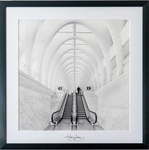 Harry Lieber "Escalator" | GALARTERY