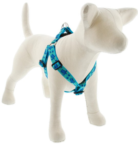 Lupine Step In Harness | Leos and More