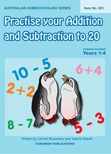 Practise Your Addition and Subtraction to 20 Years 1-4 | TEW