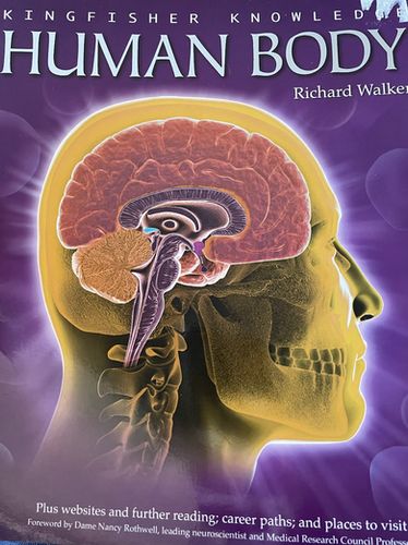 Human Body by Richard Walker (Kingfisher) | TEW USED