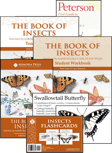 The Book of Insects - Grades 4+ | TEW
