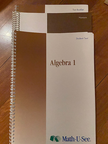 Algebra 1 Student Book, Honours & Test Book | TEW USED