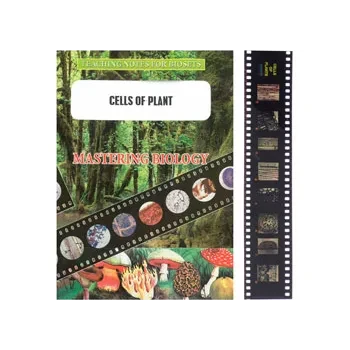 Bio Viewer Slide Set Cell of plants | TEW