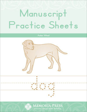 Manuscript Practice Sheets - Grade K | TEW