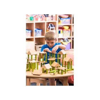 Bamboo Building Blocks 80 Pieces | TEW