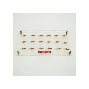 Magnetic Theory Board - Mounted Compass Needles | TEW