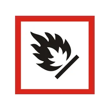 Hazard Label - GHS - Flammable - 100mm - P20 | TEW