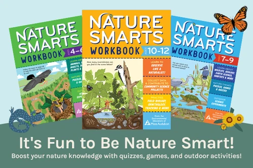 Nature Smarts Workbooks | TEW