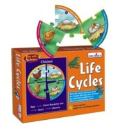 Life Cycle Puzzle | TEW