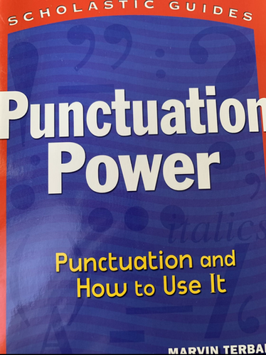 Punctuation Power & How To Use It | TEW USED