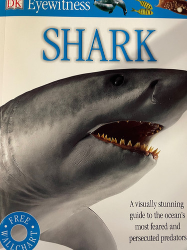 DK Eyewitness Shark by Miranda Macquitty | TEW USED