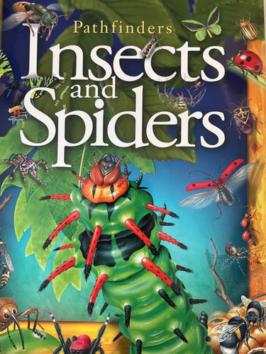 Pathfinders Insects & Spiders | TEW USED