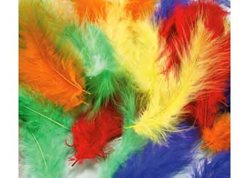 Short Feathers Pack of 50 | TEW