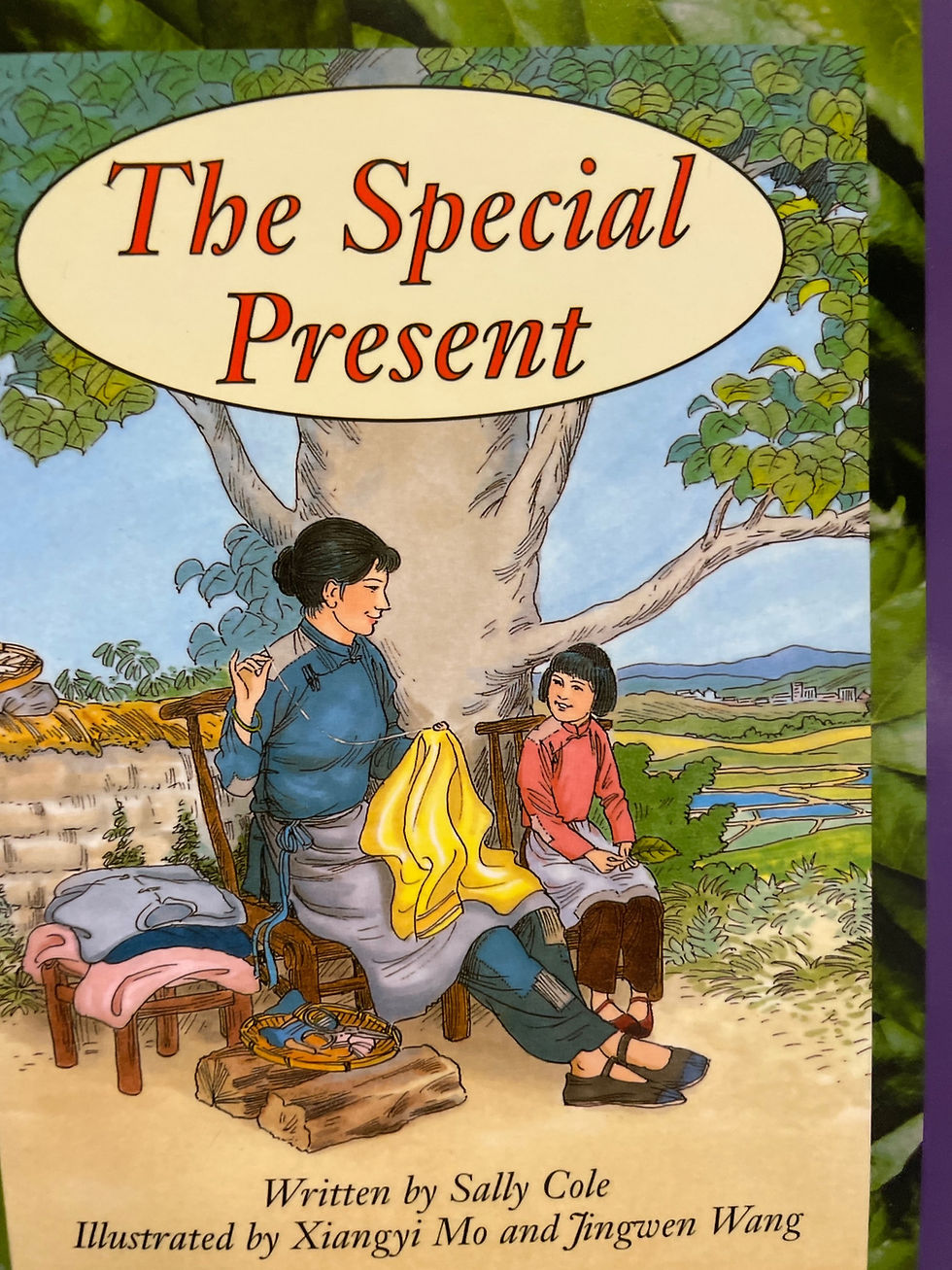 The Special Present Level 20 (MacMillan Reading Bug) | TEW USED