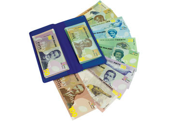 Money Wallet with New Zealand Notes 100 piece | TEW