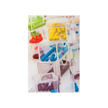 Bead Building Blocks - 100 pieces | TEW