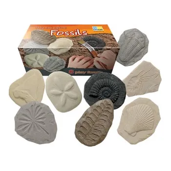 Play & Explore Fossils Set of 8 | TEW