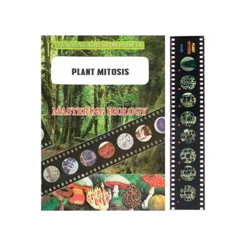 Bio Viewer Slide Set Plant Mitosis | TEW