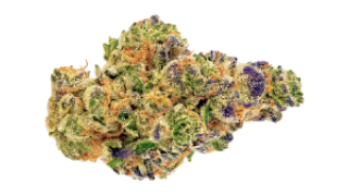 Icc X Animal Mintz Strain | Yellow Dream Farm | Cannabis Cultivation ...