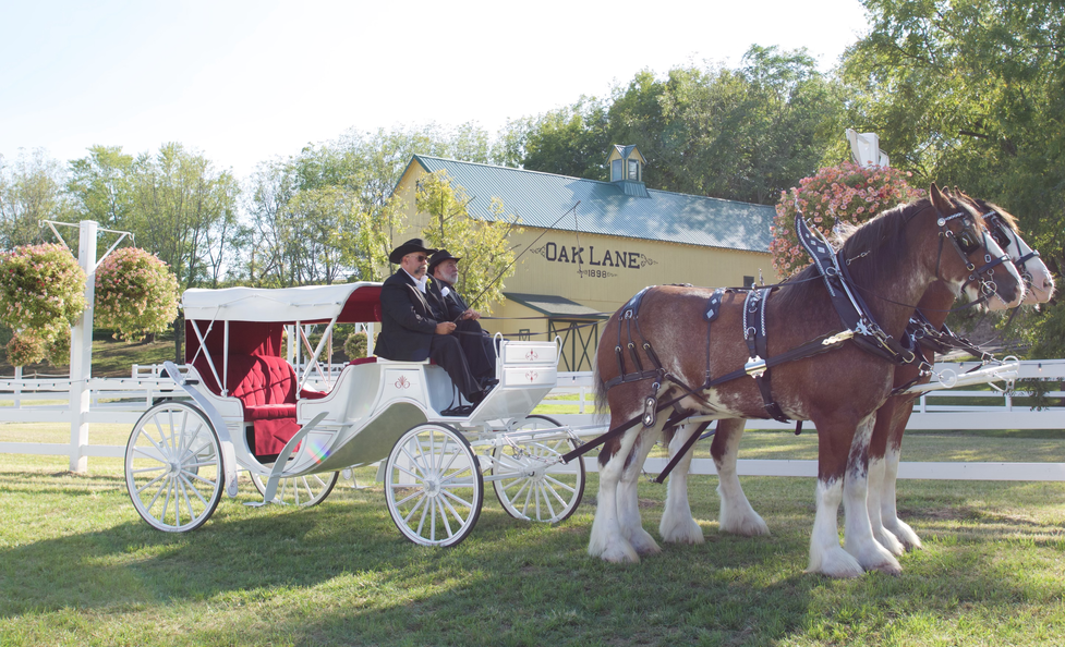 The Hitching Post | Barn Wedding Venue | Chester, NY, USA