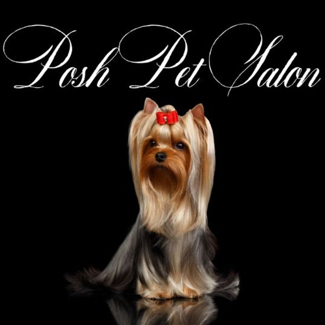 POSH PET SALON/ Small Dog Grooming Specialist