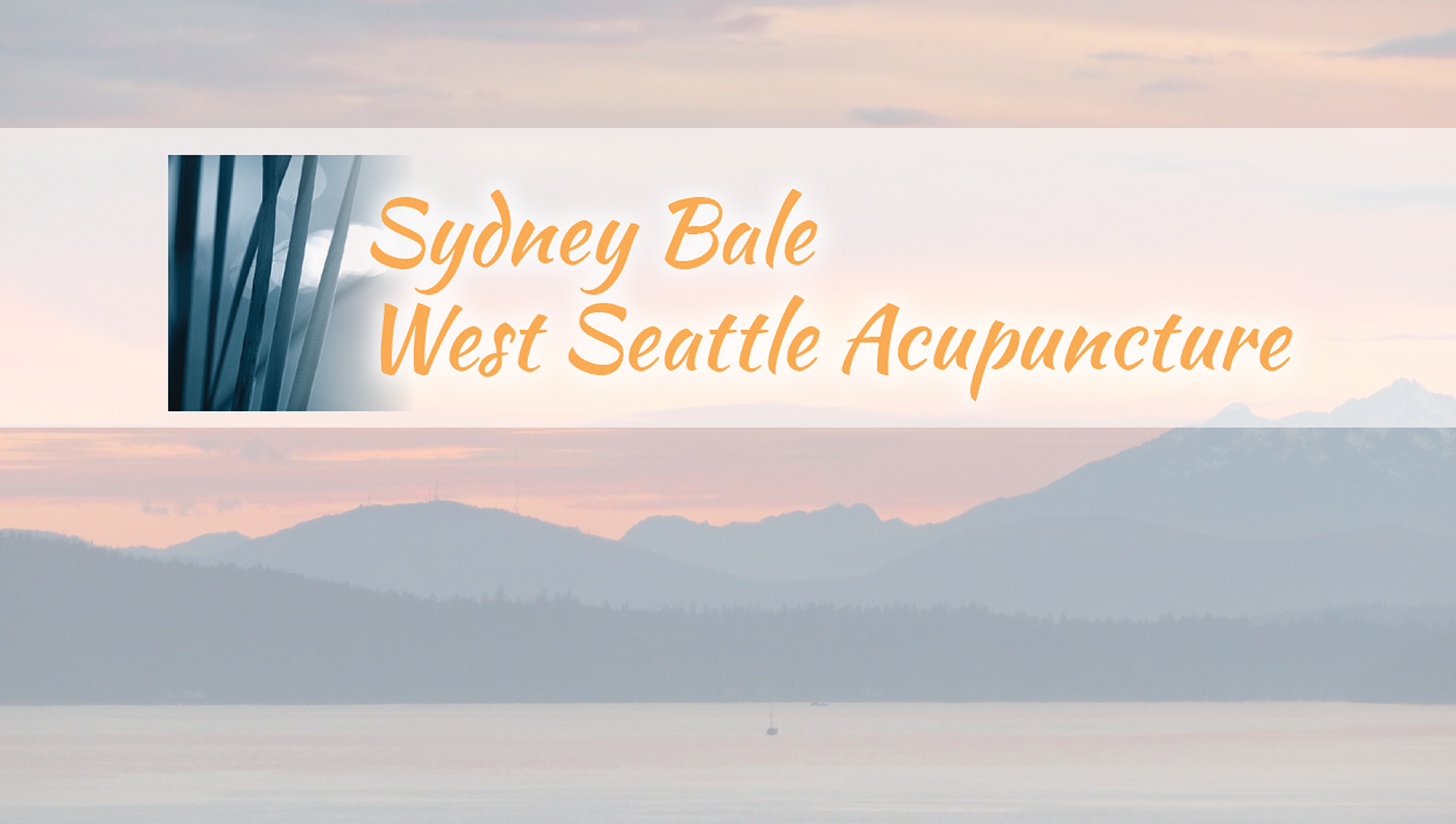 ABOUT | West Seattle Acupuncture | Sydney Bale, MS, LAc, Dipl. OM (NCCAOM)