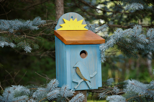 The Summer Hut: Handcrafted Bluebird House with Hinged Front | Harmony ...