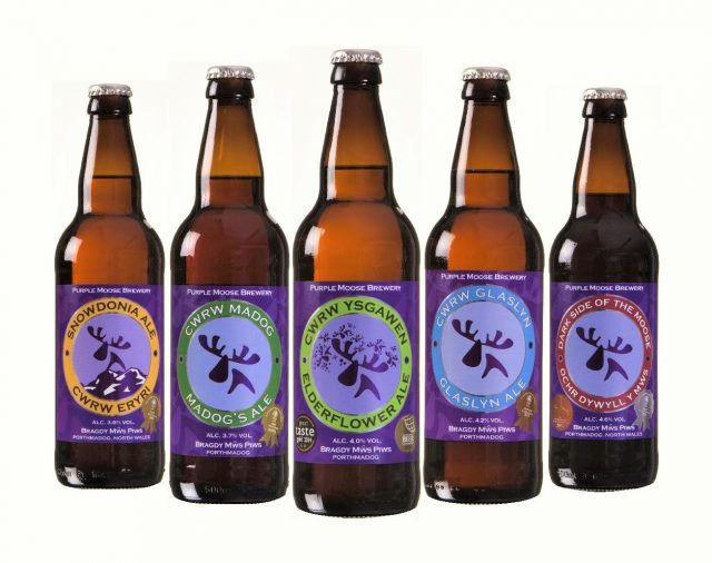 Purple Moose Brewery's not so Micro Success!