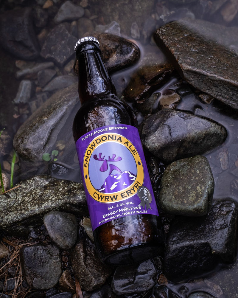 Purple Moose Brewery's not so Micro Success!