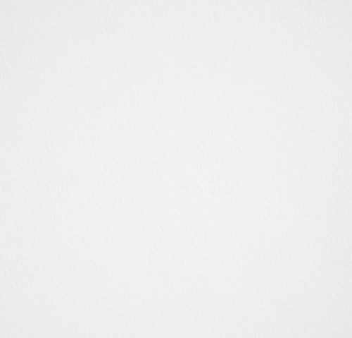 Vellum - Pure White | chicken