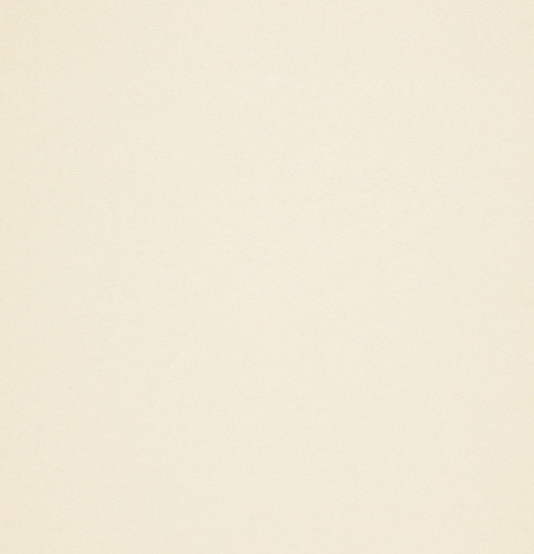 Curious Pearlescent Europa Ivory paper | chicken