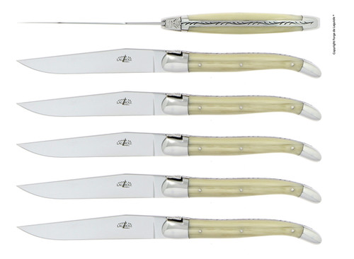 Set of 6 Table knives with Opalescene Acrylic Handles by Forge De ...