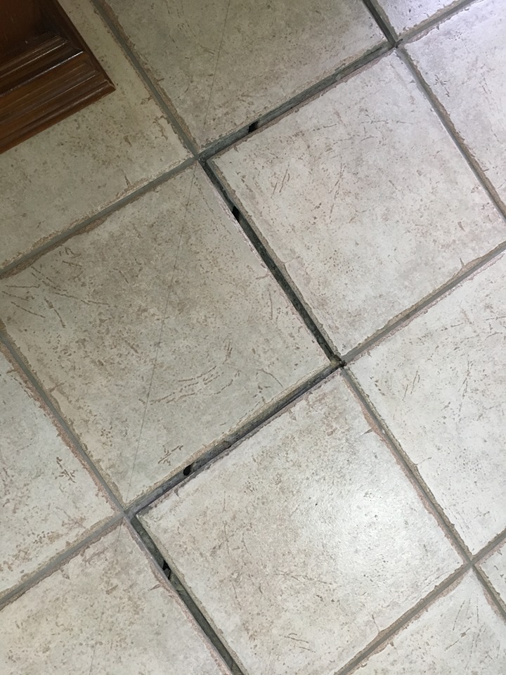 Tile Injection | Paramount Waterproofing Pty Ltd | Project| Cairns Regional