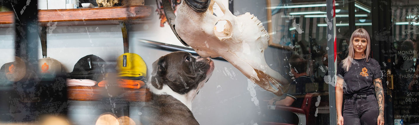 Champion Barbers & Professional Barber Training