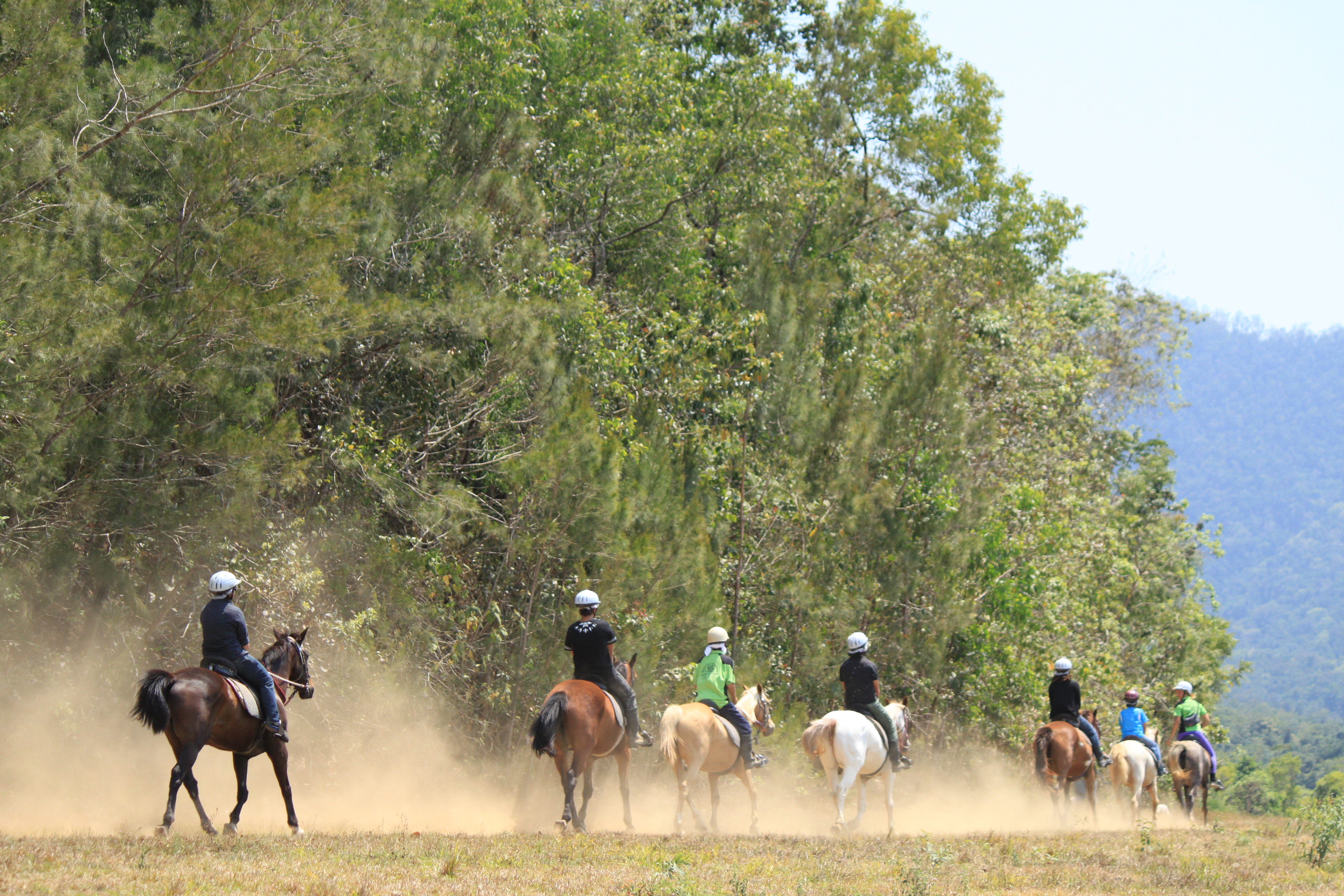 Mount N Ride Adventures, Horse Trail rides in the beautiful rainforst