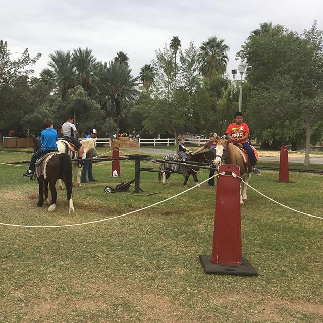 Carters Farm Mobile Petting Zoo and Ponies | Arizona | Pony Rides