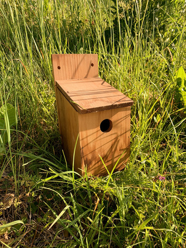 Cedar Bird Box | Part-Time BeeKeepers