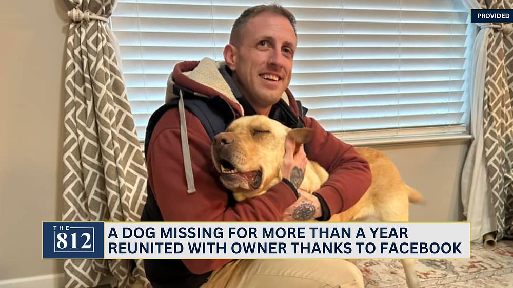 Dog reunited with owner more than a year after being taken
