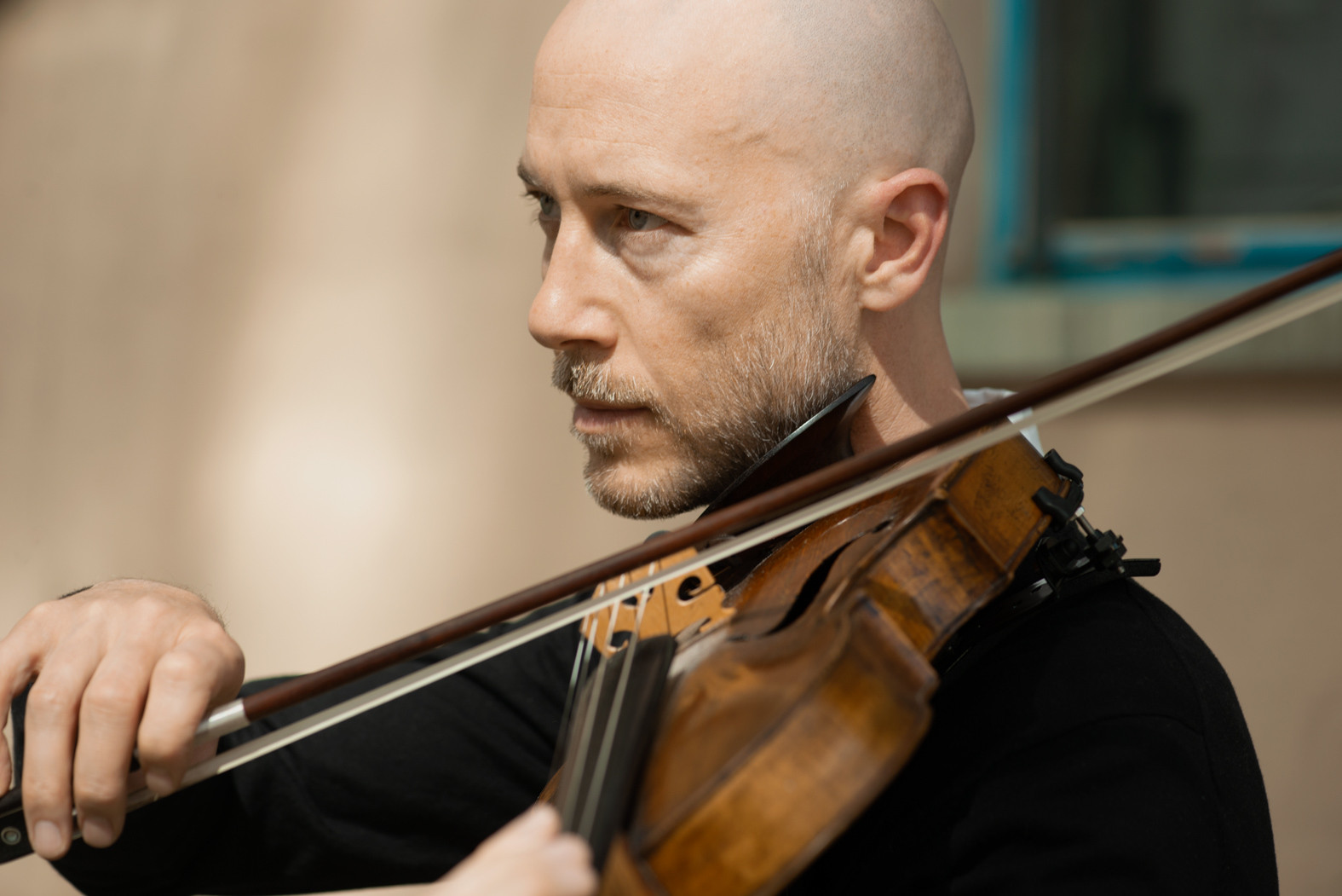 Viola | David Schnee | Schweiz