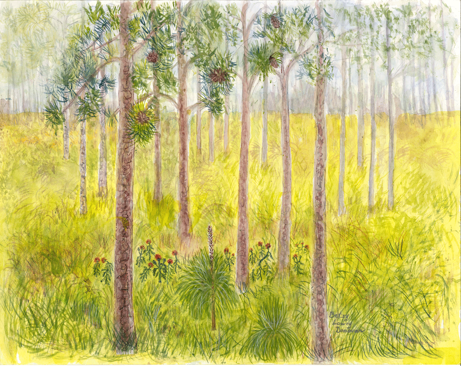 Exhibits | GNSI-Carolinas