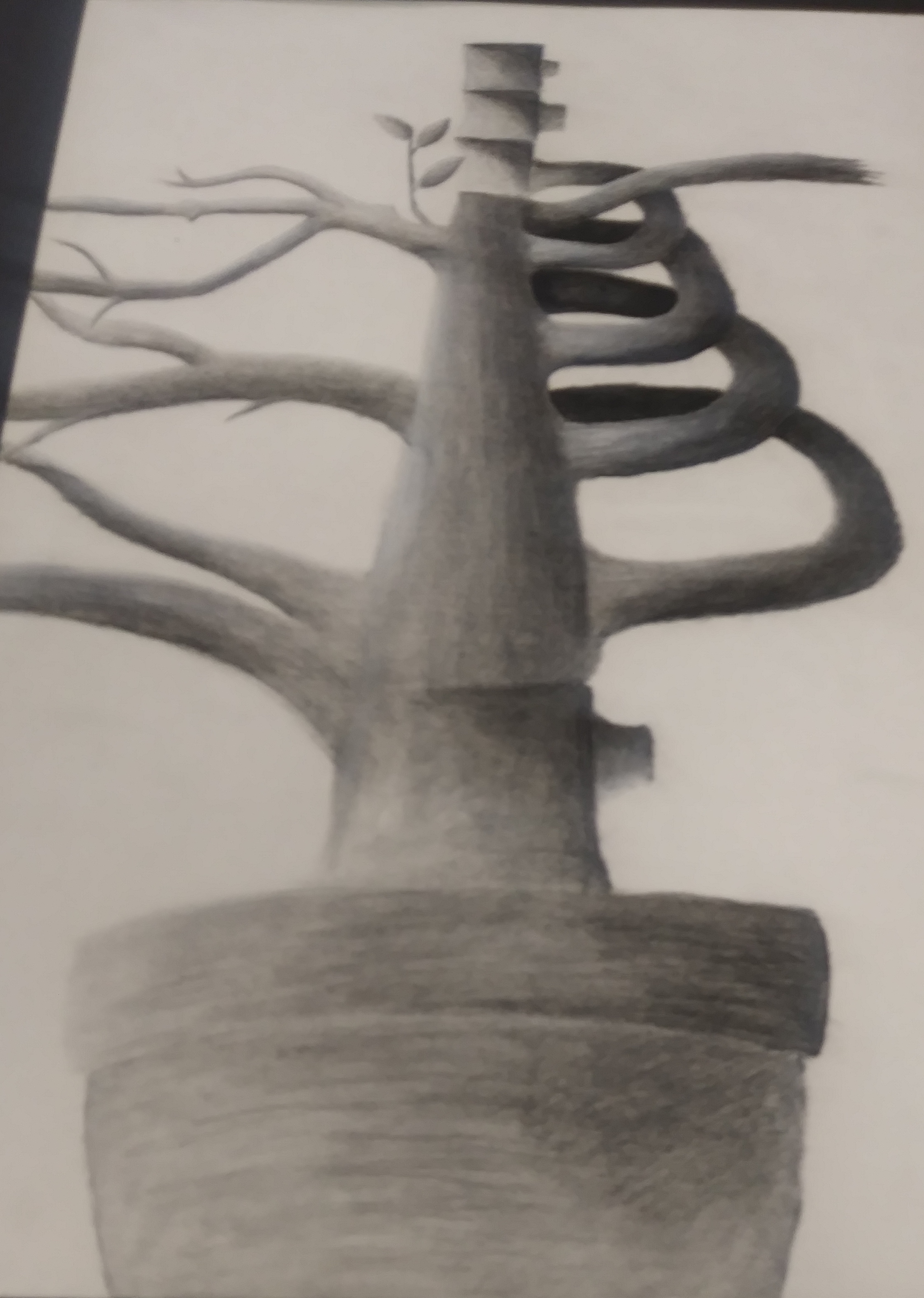 Previous Online Exhibits | rose-center-tn