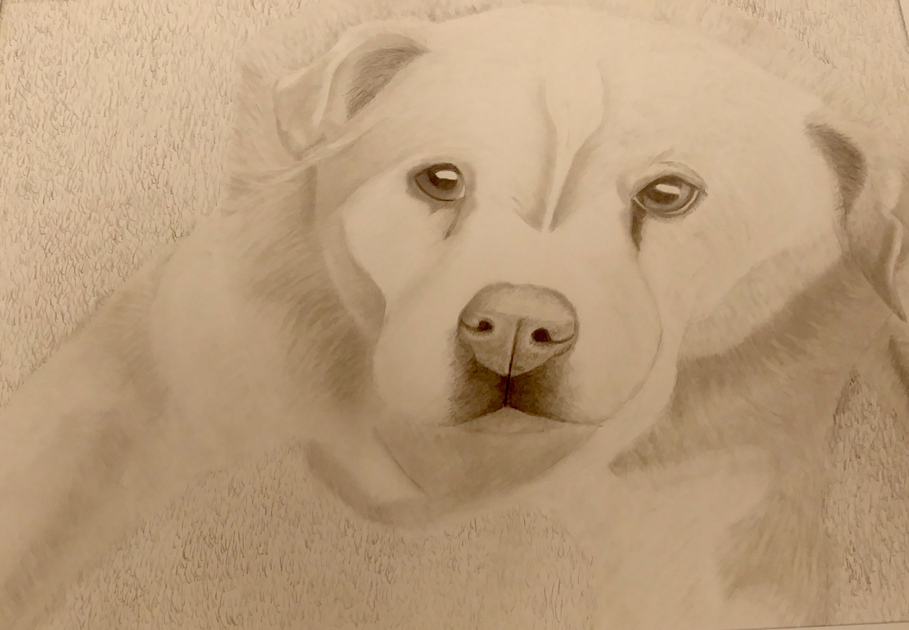 Previous Online Exhibits | rose-center-tn