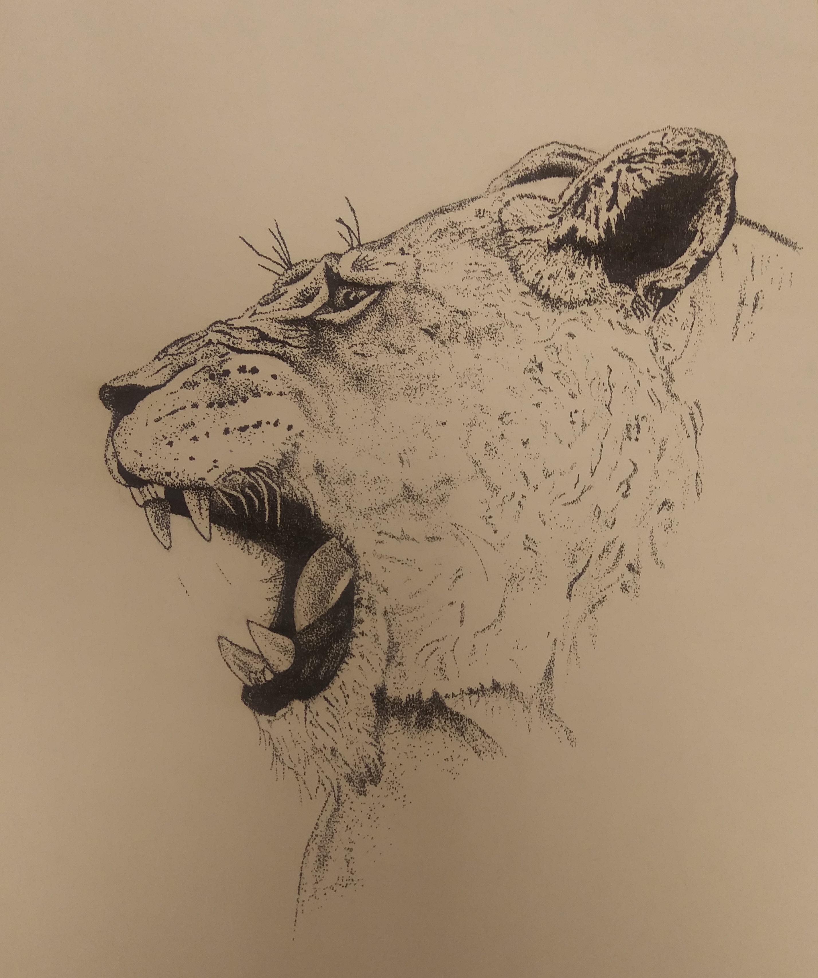 Previous Online Exhibits | rose-center-tn