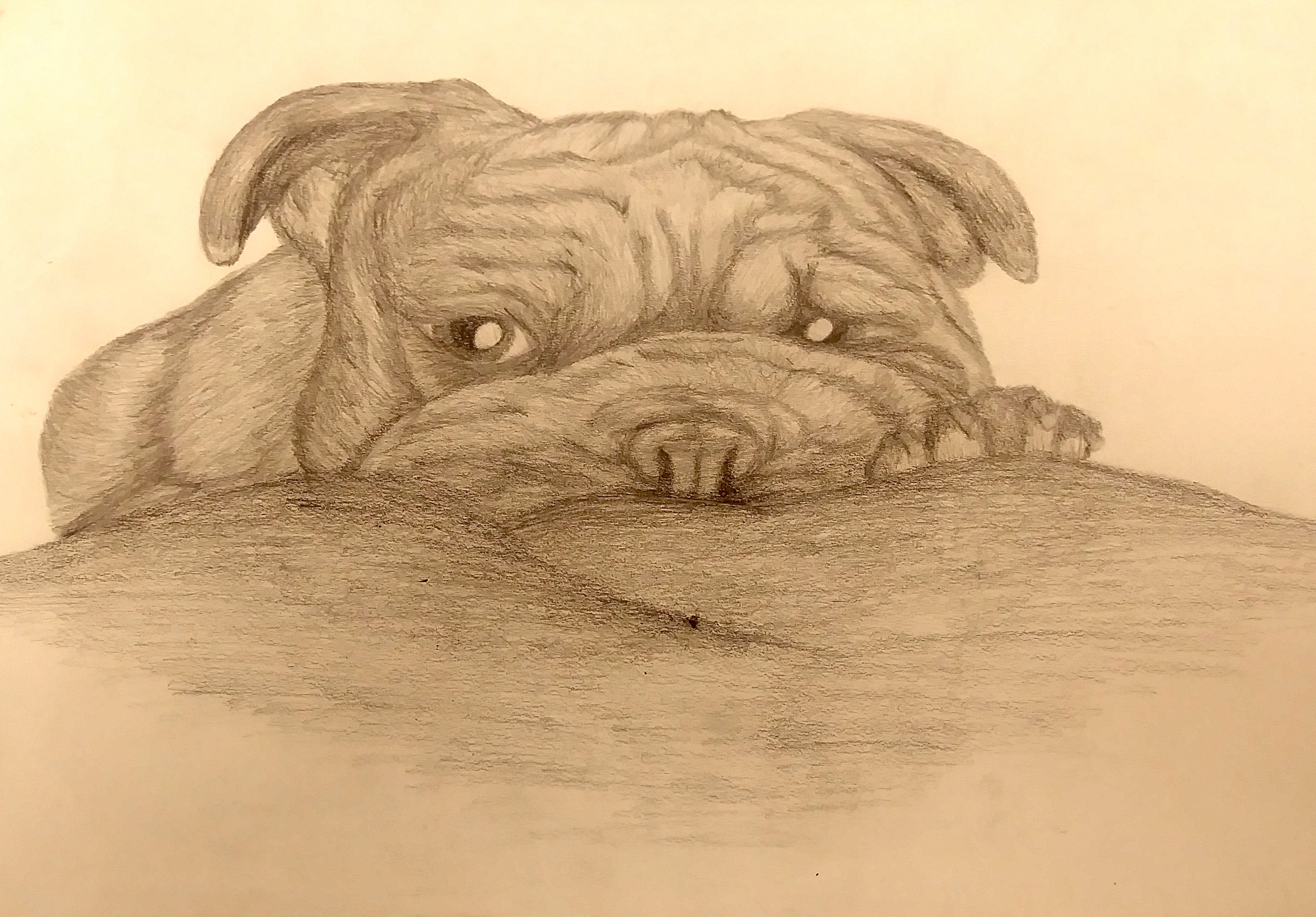 Previous Online Exhibits | rose-center-tn