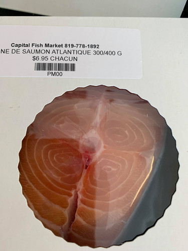Darne de saumon de l'atlantique | Capital Fish Markets
