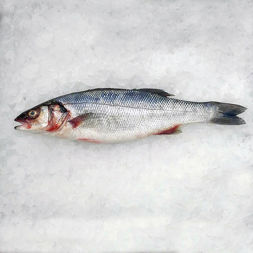 bar entier | Capital Fish Markets