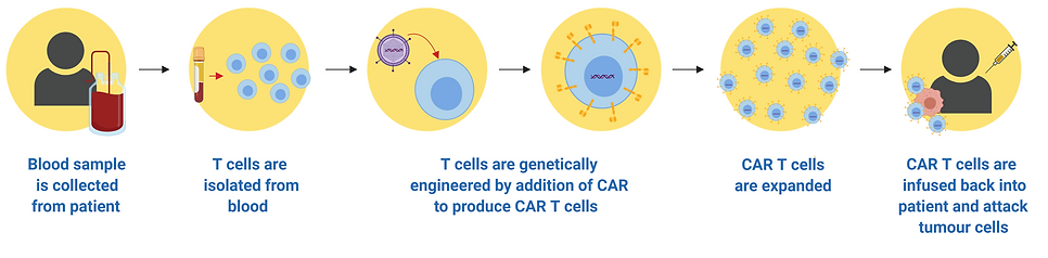 Our science | Leucid bio