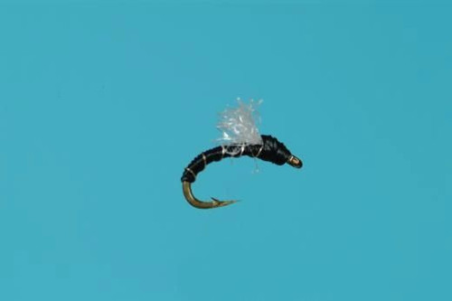BEAD HEAD POLYWING EMERGER - BLACK | Kern River Fly Shop
