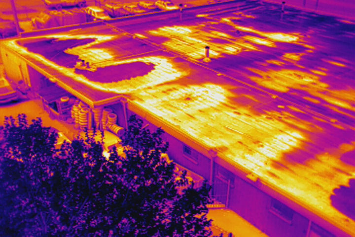 Case Study: Drone Technology + Infrared Cameras